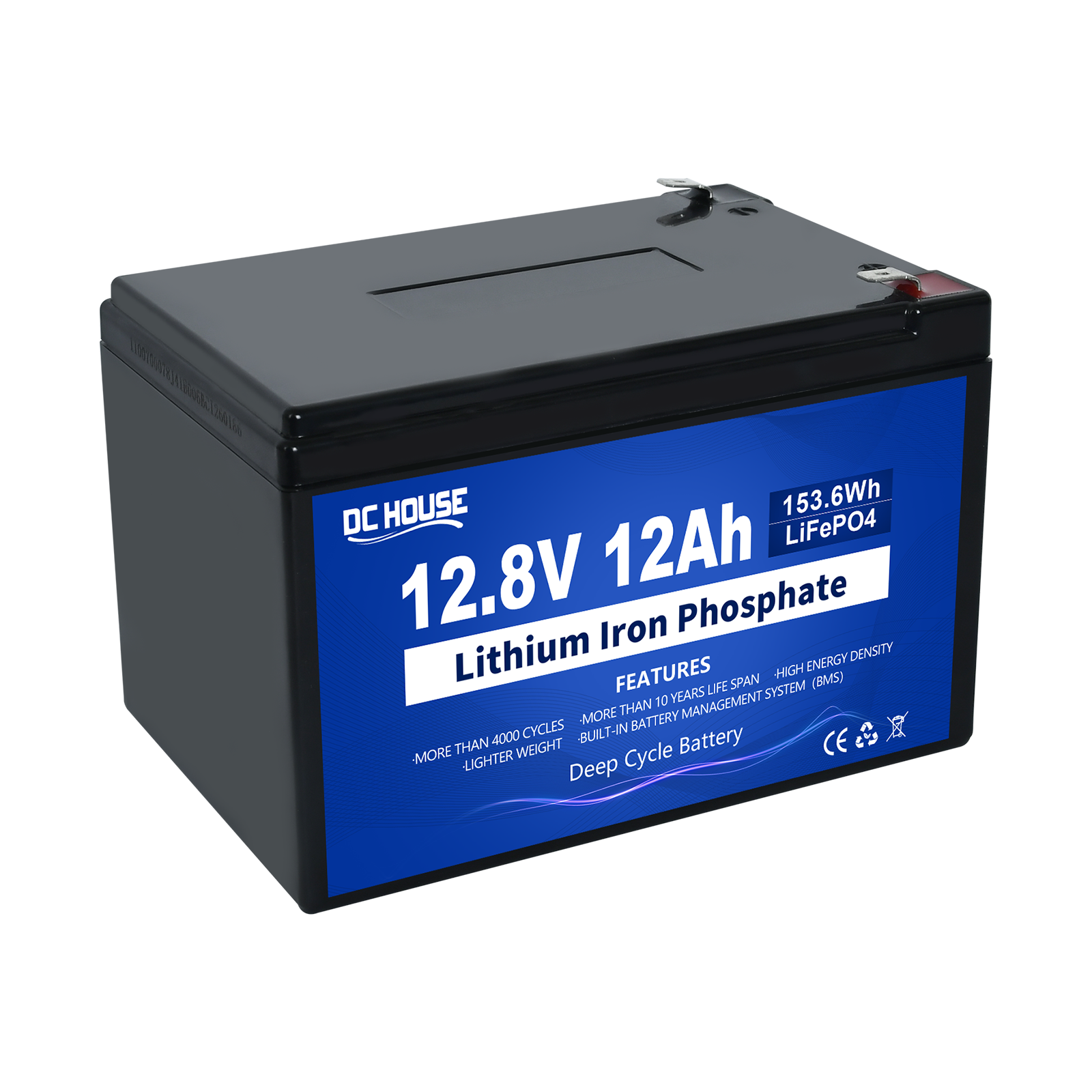 48V 50Ah LiFePO4 Lithium Golf Cart Battery | DC HOUSE
