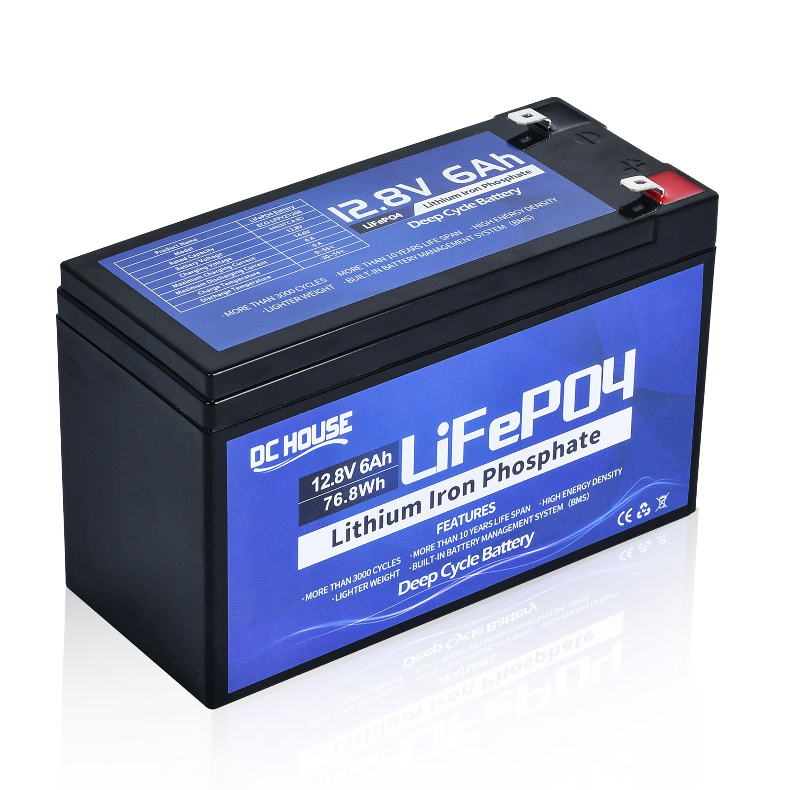 12V 100Ah Deep Cycle LiFePO4 Lithium Battery | DC HOUSE